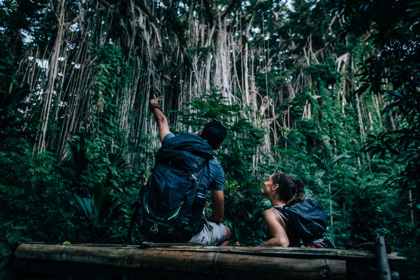 Vanuatu Tourism Office - Vanuatu Eco & Nature Tours - Discover Wildlife ...