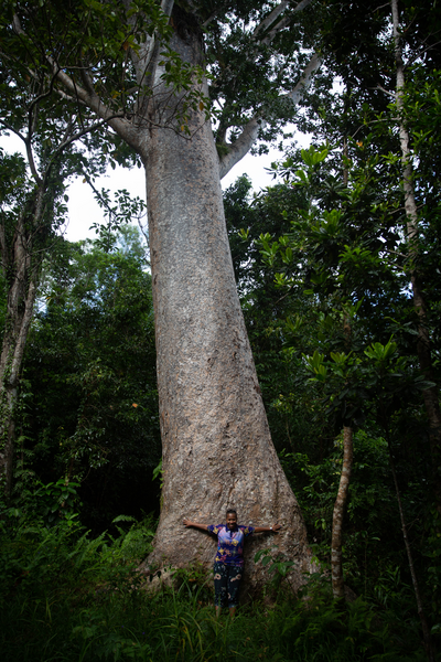 Vanuatu Tourism Office - Tafea Province Vanuatu - Tanna Volcano ...