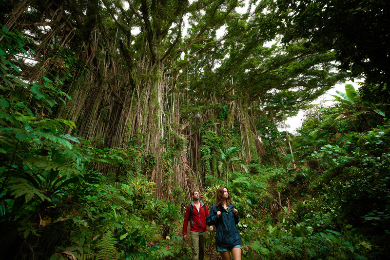 Vanuatu Tourism Office - Tafea Province Vanuatu - Tanna Volcano ...